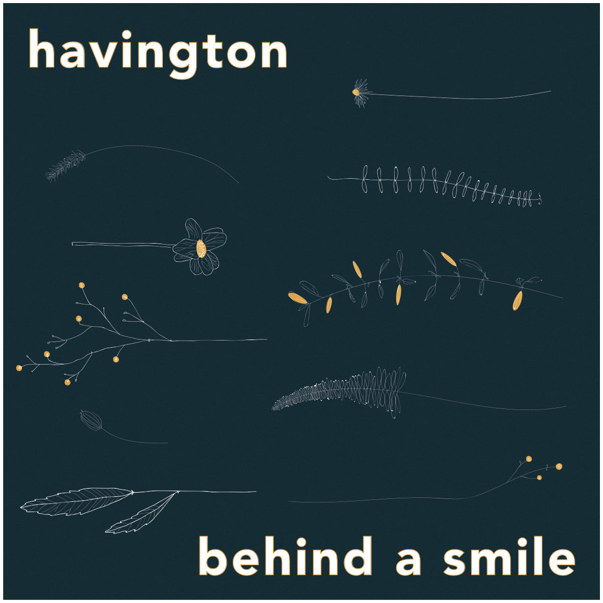 Havington - Behind A Smile - EP CD – Dryland Records Shop